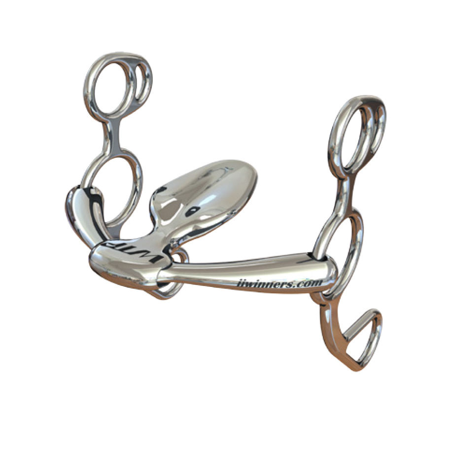 *5 WTP Extended Plate Western Universal Bit (12.5cm) - Centurion Supply ...